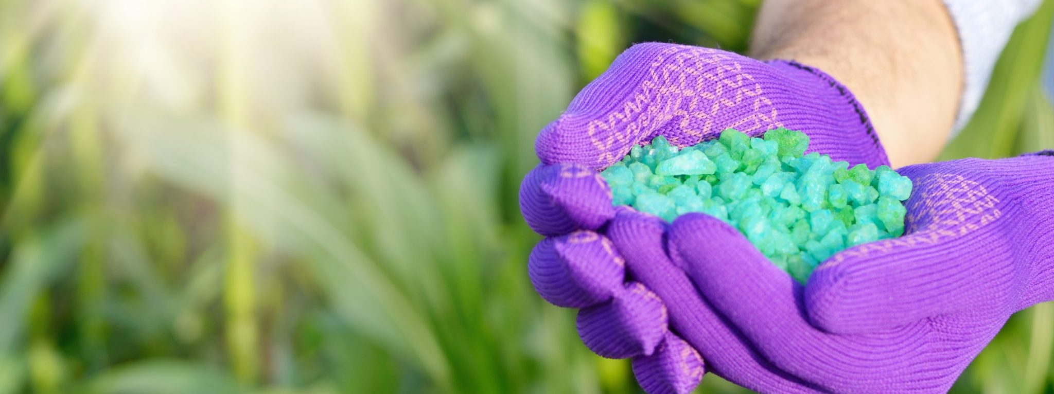 Aumentan Importaciones de Fertilizantes en México: Desafíos y ...